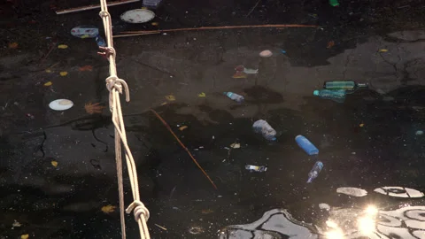 Floating debris in water pollute environ... | Stock Video | Pond5
