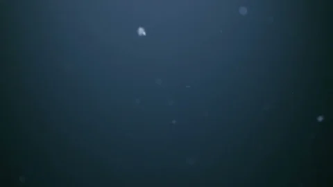 floating dust particles | Stock Video | Pond5