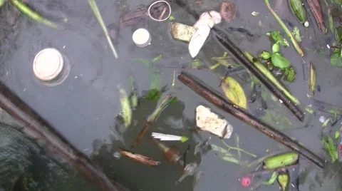 Floating Garbage Litter Trash Water Poll... | Stock Video | Pond5