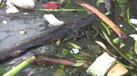 Floating Garbage Litter Trash Water Poll... | Stock Video | Pond5