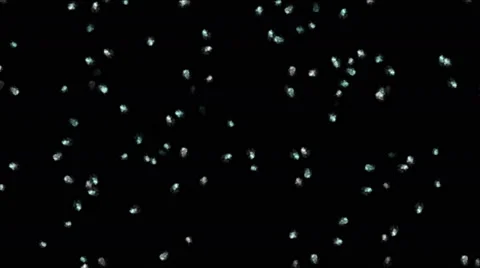 Floating plankton & micro algae,worm ins... | Stock Video | Pond5