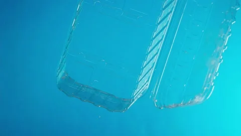 Floating plastic food container in the o... | Stock Video | Pond5