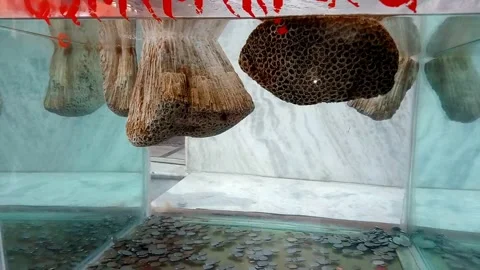 Floating Stones As Called Ram Pathar In ... | Stock Video | Pond5