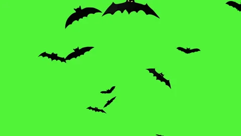 Flock of bats flying on green screen bac... | Stock Video | Pond5