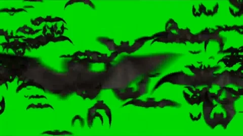 Flock of Bats Flying on Green Screen 01 | Stock Video | Pond5