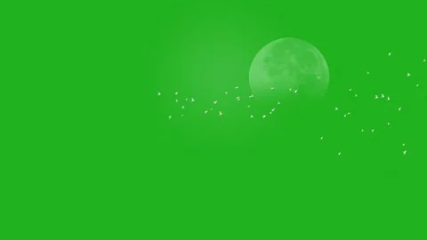 Moon Green Screen Stock Video Footage | Royalty Free Moon Green Screen ...