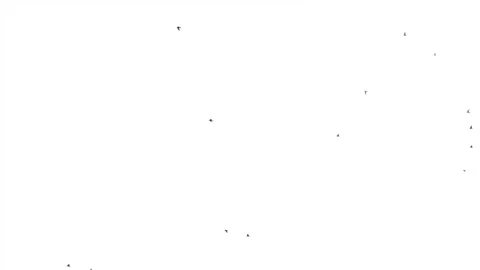 a flock of crows flying high in the sky ... | Stock Video | Pond5