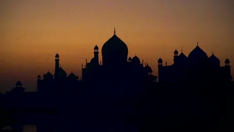 Flock flying over Taj Mahal, Sunrise at ... | Stock Video | Pond5