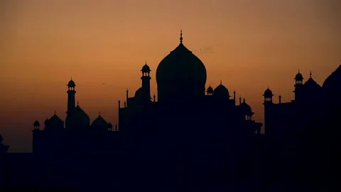 A Flock flying over Taj mahal, Sunrise a... | Stock Video | Pond5