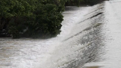 Flood, Water flow tree line background. | Stock Video | Pond5