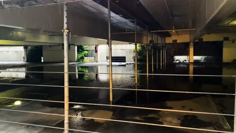 Y2K Garage Stock Videos – Royalty-Free HD & 4K Videos | Page 5