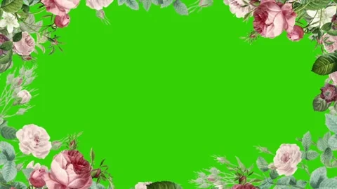 Floral Animation Frame with Hand-Drawn ... | Stock Video | Pond5