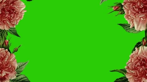 Floral Animation Frame with Hand-Drawn ... | Stock Video | Pond5