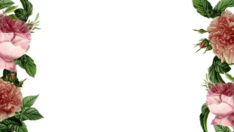 Floral Animation Frame with Hand-Drawn ... | Stock Video | Pond5