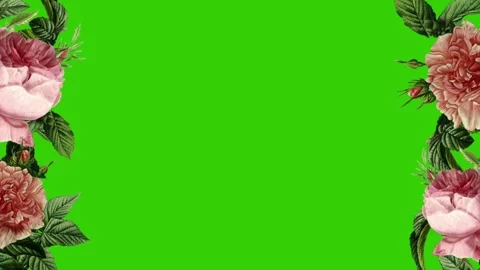 Floral Animation Frame with Hand-Drawn ... | Stock Video | Pond5