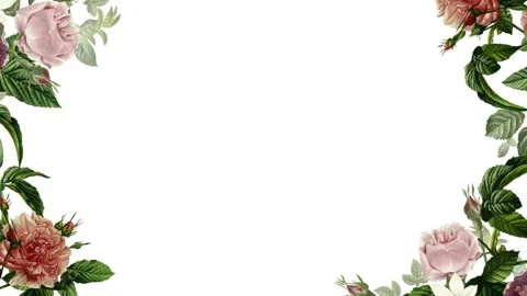 Floral Animation Frame with Hand-Drawn ... | Stock Video | Pond5