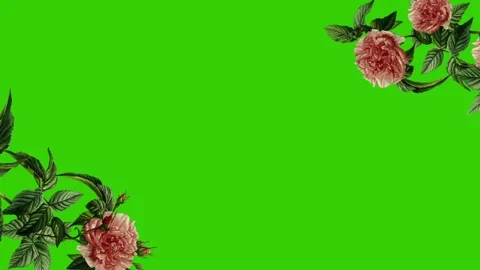 Floral Animation Frame with Hand-Drawn ... | Stock Video | Pond5