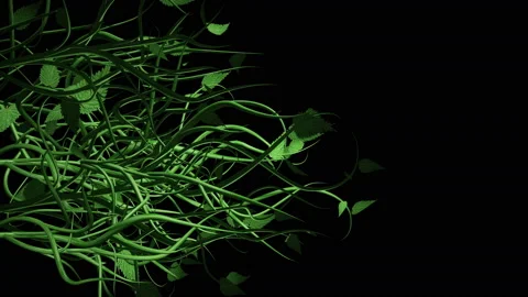 Floral Background Animation. Growing Pla... | Stock Video | Pond5