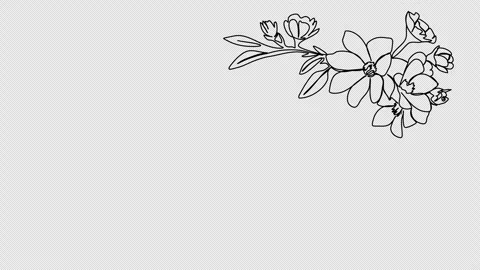 Corner Frame Video Stock Videos – Royalty-Free HD & 4K Videos | Pond5