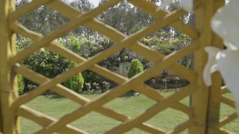 Floral Photo Backdrop Stock Videos – Royalty-Free HD & 4K Videos | Pond5