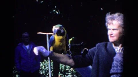 Old Ladys Video Stock Videos – Royalty-Free HD & 4K Videos | Pond5