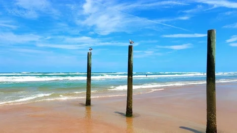 Florida Beach, Pylons and Seagulls, 4K | Stock Video | Pond5