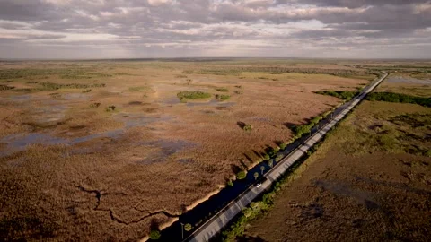 Florida Everglades Swamp at sunset with ... | Stock Video | Pond5