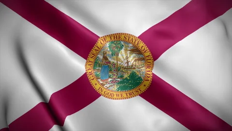 Florida flag background realistic waving... | Stock Video | Pond5