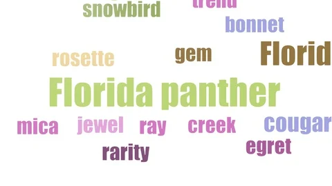 Florida Panther Word Cloud Animated Isol... | Stock Video | Pond5