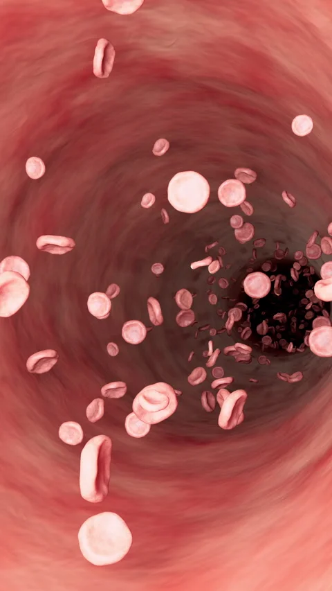 The flow of red blood cells in blood ves... | Stock Video | Pond5