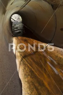 Photograph: Flow of water inside concrete culvert , Finland #195850337