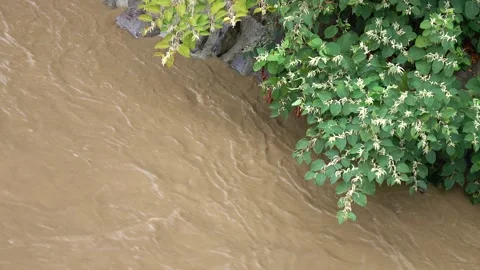 The flow of water in the river after the... | Stock Video | Pond5