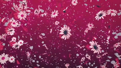 Flower Explosion Stock Footage ~ Royalty Free Stock Videos | Pond5