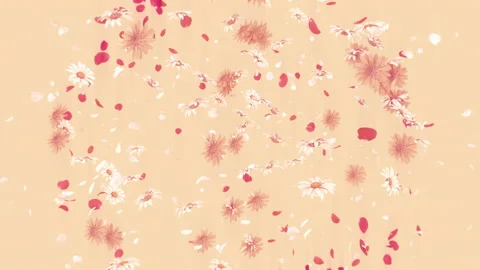 Flower Explosion Stock Footage ~ Royalty Free Stock Videos | Pond5