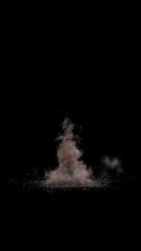 Flower Explosion Stock Footage ~ Royalty Free Stock Videos | Pond5