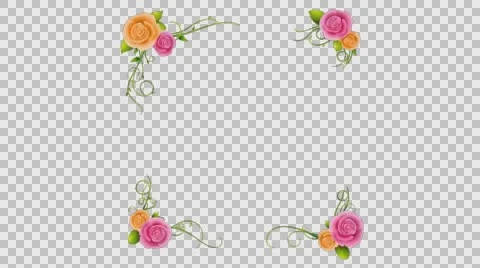 Flower frame Animation - With Alpha | Stock Video | Pond5