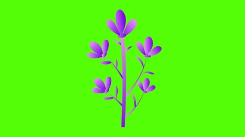 Flower growth animation concept | Stock Video | Pond5