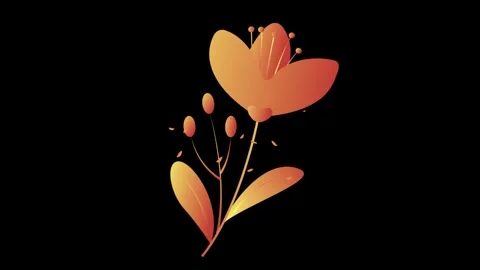 Flower growth animation concept | Stock Video | Pond5