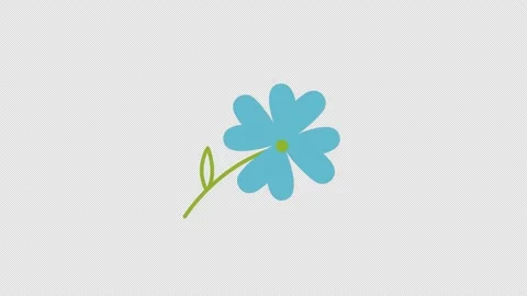 Colourful Leaves Animation Transparent Background Stock Footage ...