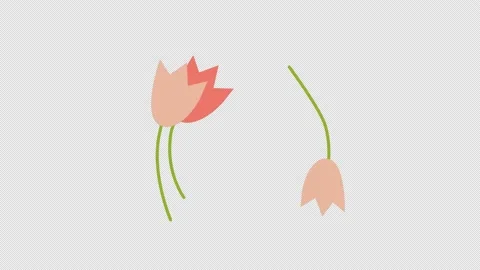 Leaf Flower Background Stock Videos – Royalty-Free HD & 4K Videos