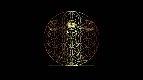 Leonardo Da Vinci Flower Of Life Drawings | Best Flower Site