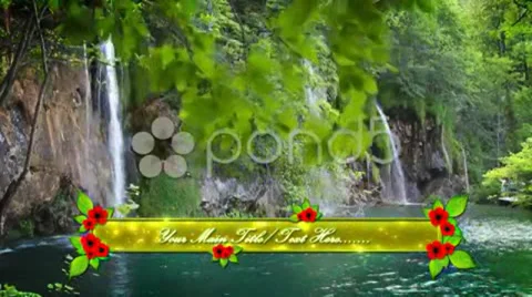 After Effects Template: Flower Lower Third #27664348 | Pond5