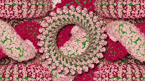 Mandala Background Video Stock Videos – Royalty-Free HD & 4K Videos | Pond5