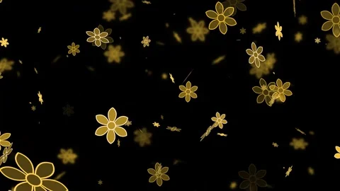 Flower Particles Stock Video Footage | Royalty Free Flower Particles ...