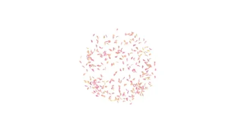 Flower petals explosion on white, blue, ... | Stock Video | Pond5