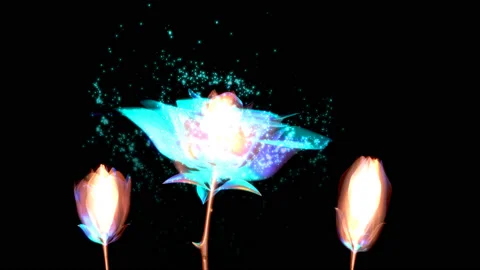 Flower Particles Stock Video Footage | Royalty Free Flower Particles ...