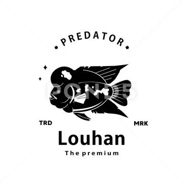 Flowerhorn fish logo vector outline silhouette art icon: Graphic #288215245
