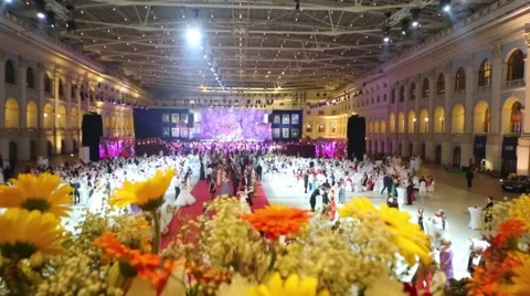 Fandango W Stock Videos – Royalty-Free HD & 4K Videos