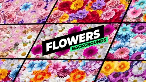 Flowers Backgrounds ~ After Effects Template #311019552