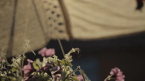 Flowers Background Stitch Stock Videos – Royalty-Free HD & 4K Videos